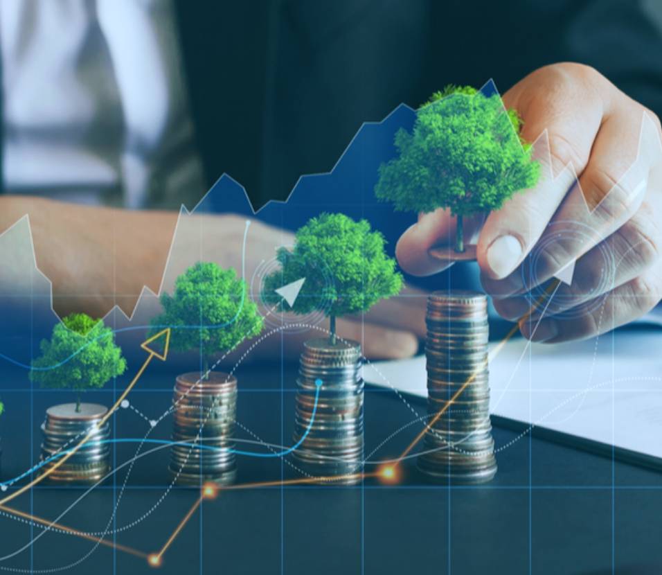 Contact Us - Steer ESG